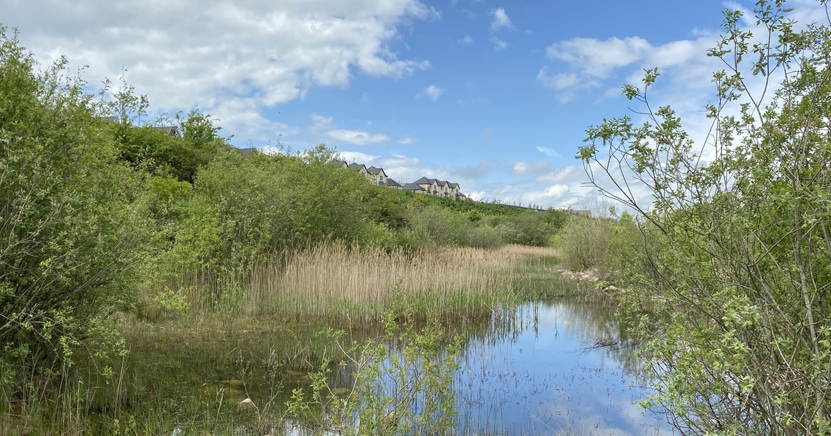 Walking Routes | Priors Hall Park