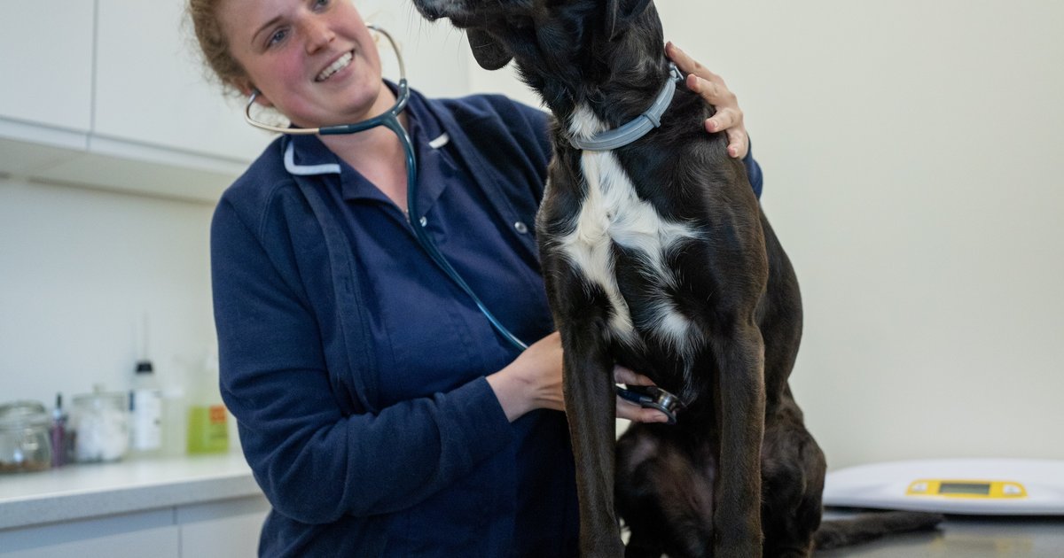 Rutland Veterinary Centre - Priors Hall Park